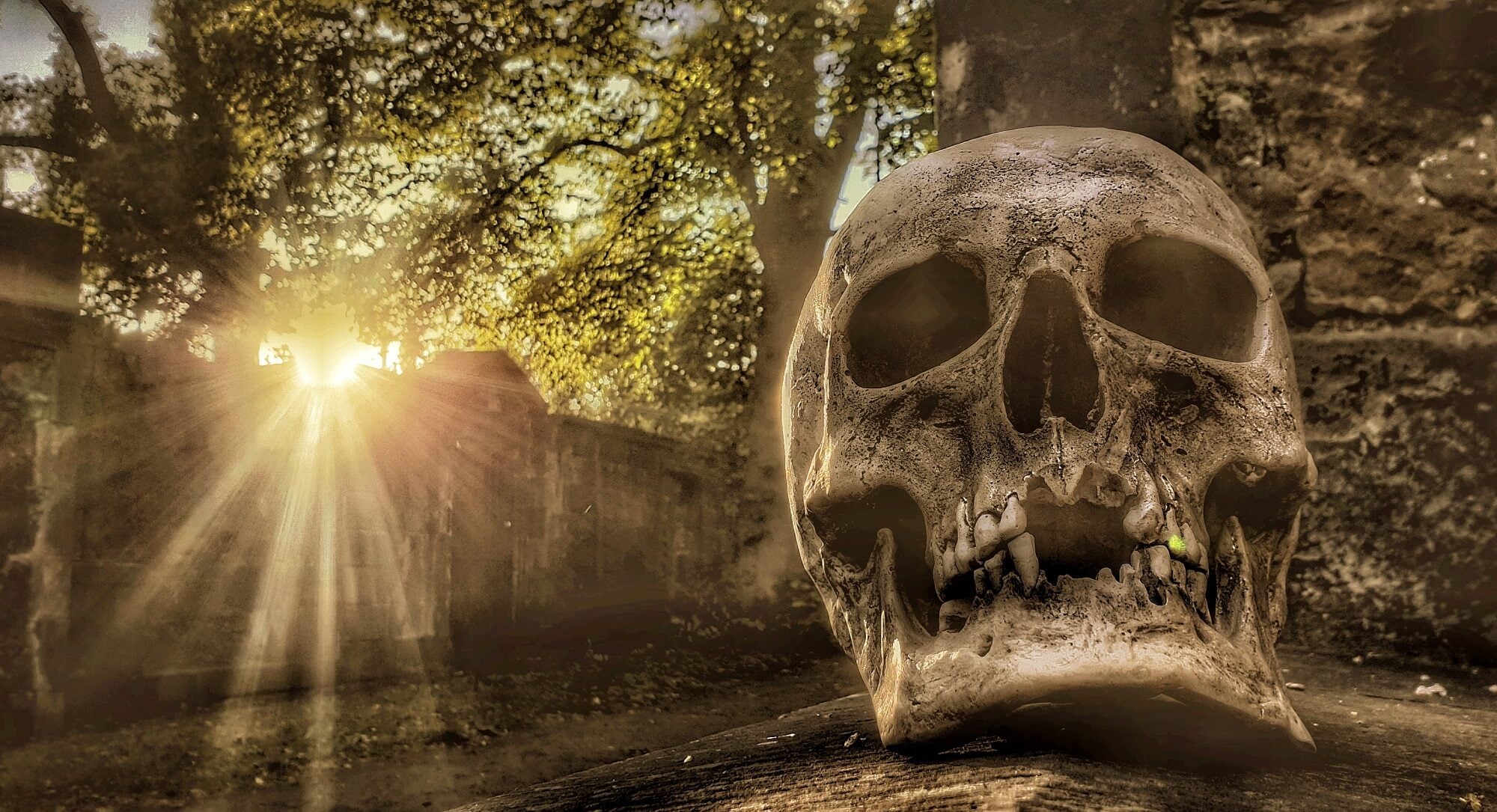 Spooky attractions in Edinburgh - Forever Edinburgh