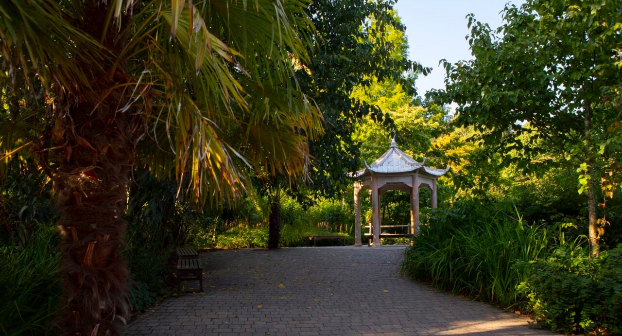 Top 10 tranquil Edinburgh spaces for a breather - Forever Edinburgh