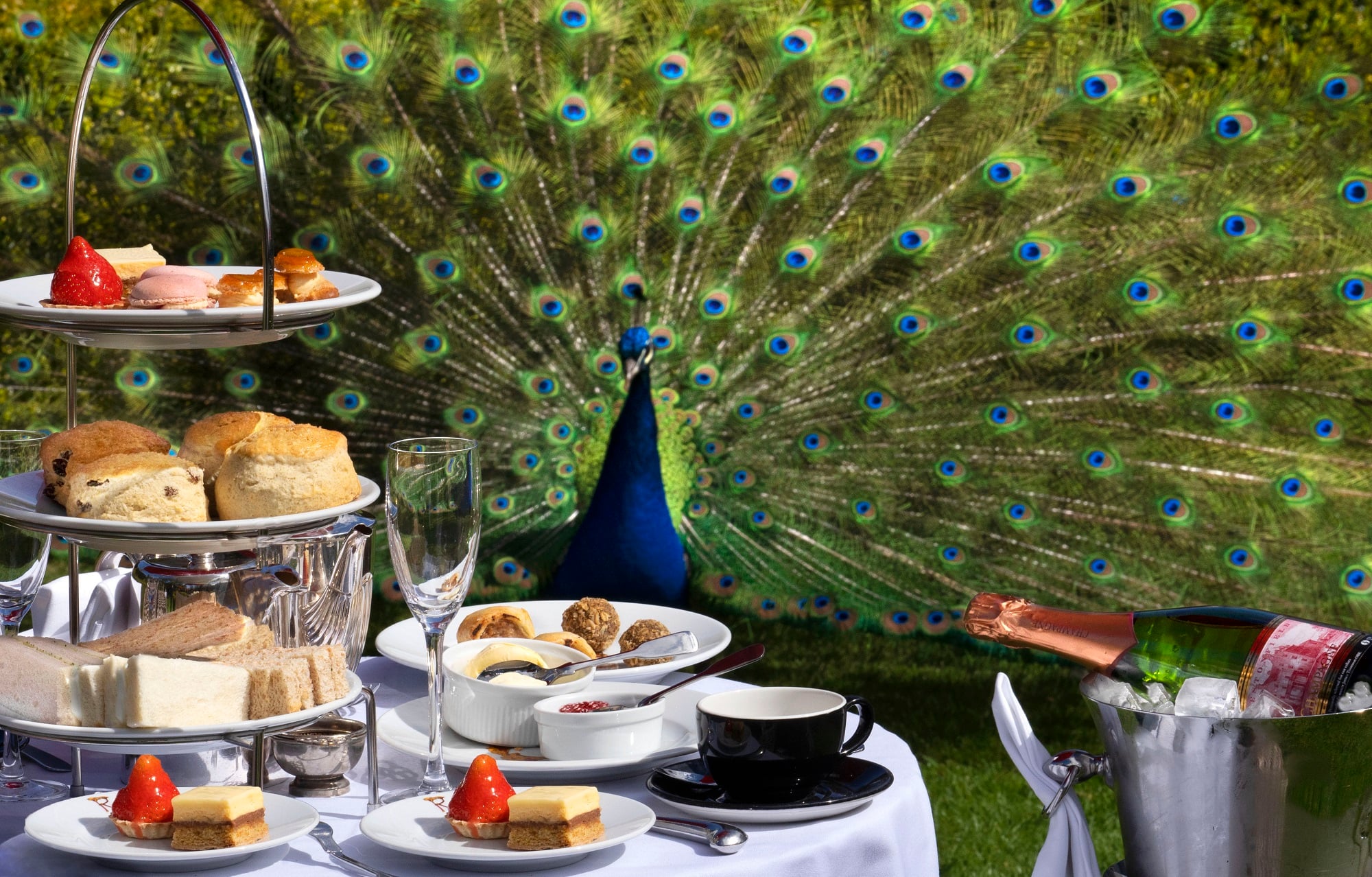 Afternoon tea - Forever Edinburgh