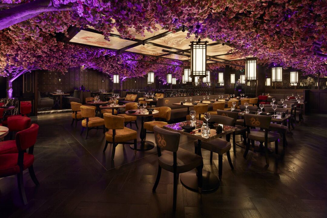 TATTU Edinburgh - Forever Edinburgh