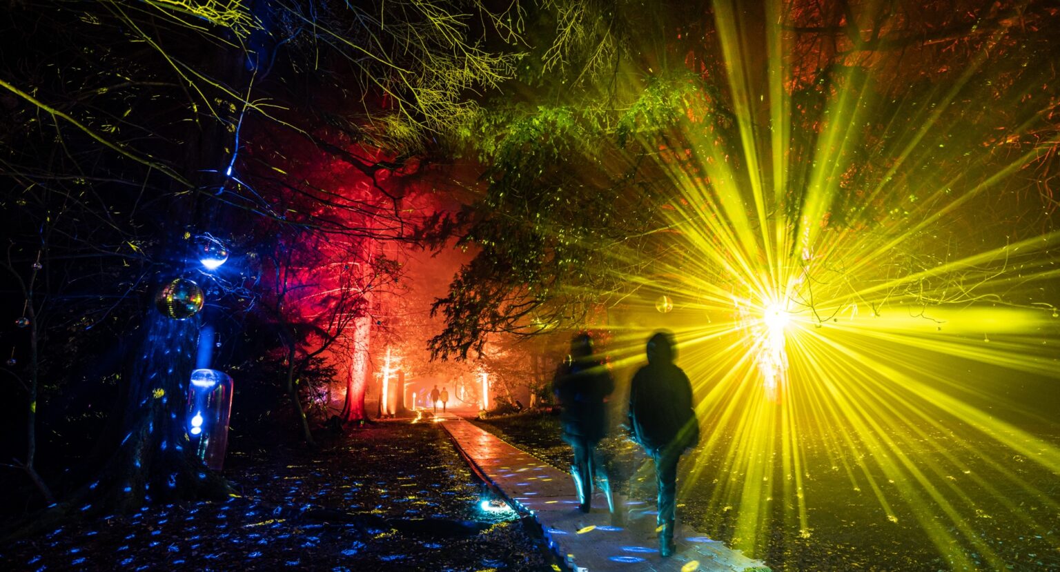 Wondrous Woods - Forever Edinburgh