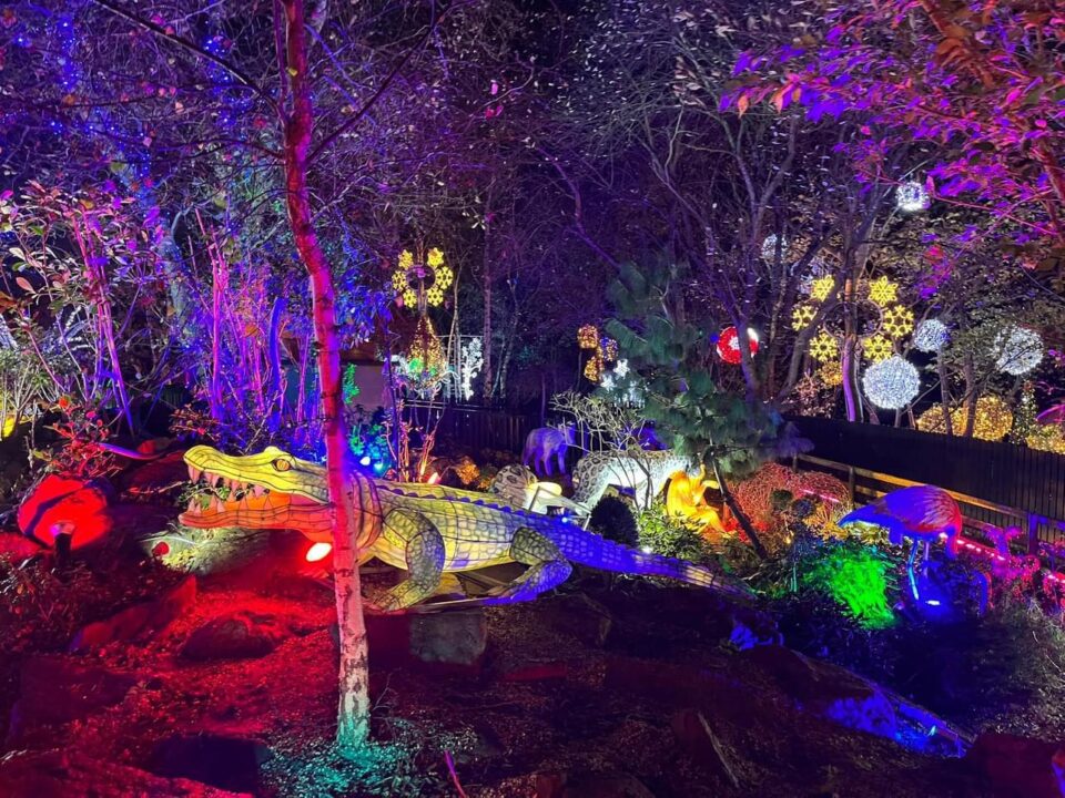 Winter light trails in Edinburgh, Lothians and Borders - Forever Edinburgh