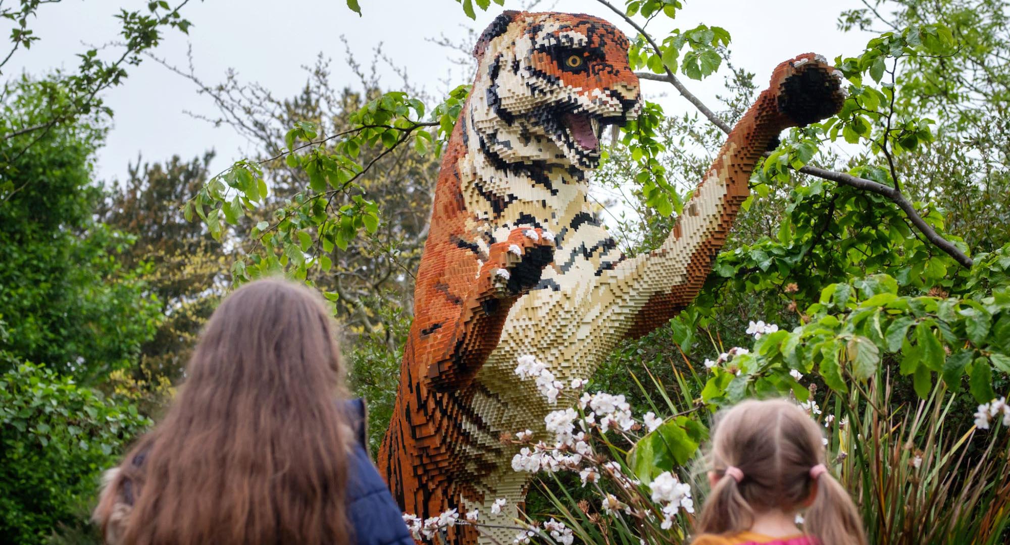 Edinburgh Zoo Brick Safari - Forever Edinburgh