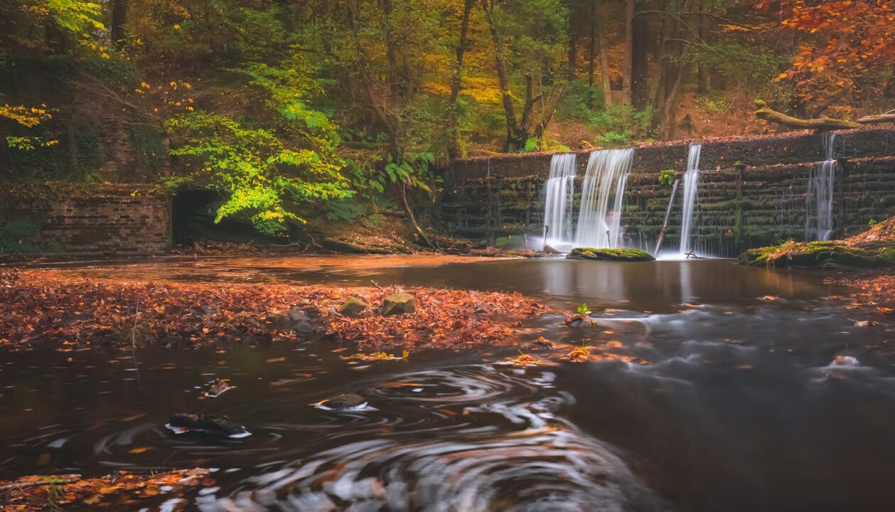 Scenic walks in and around Edinburgh - Forever Edinburgh