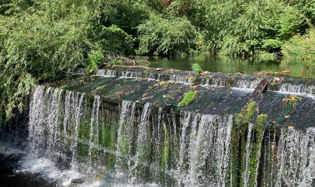 Discover The Water of Leith Walkway - Forever Edinburgh